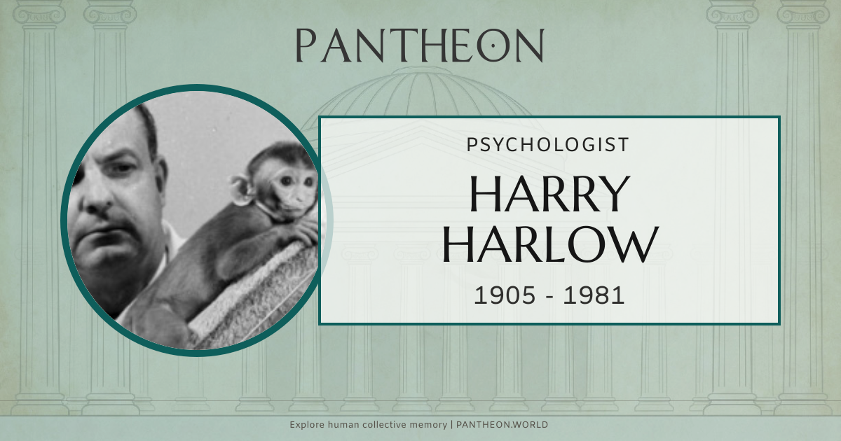 Harry Harlow Biography | Pantheon