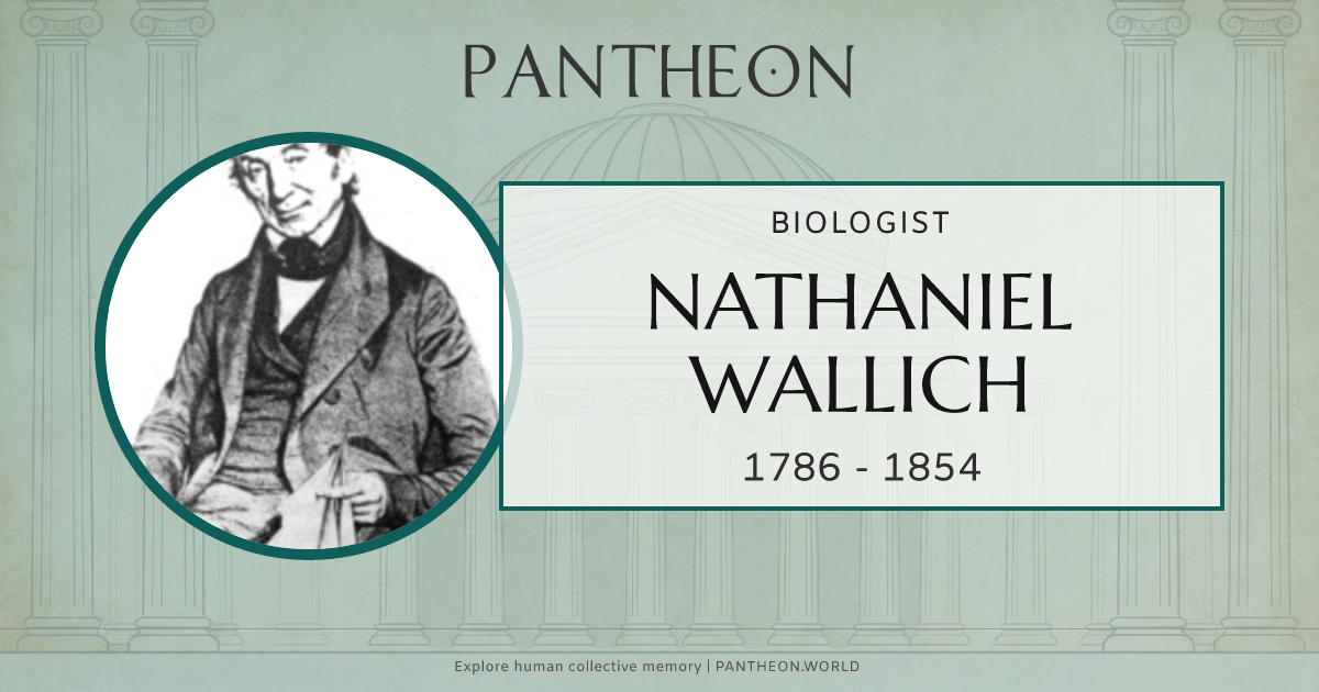 Nathaniel Wallich Biography | Pantheon