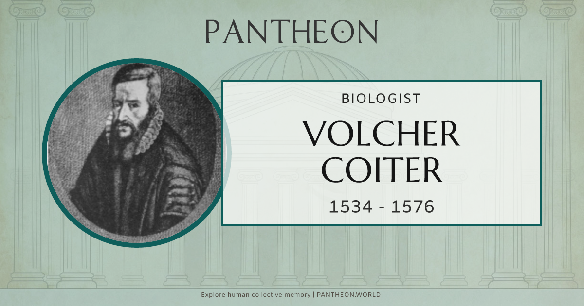Volcher Coiter Biography | Pantheon