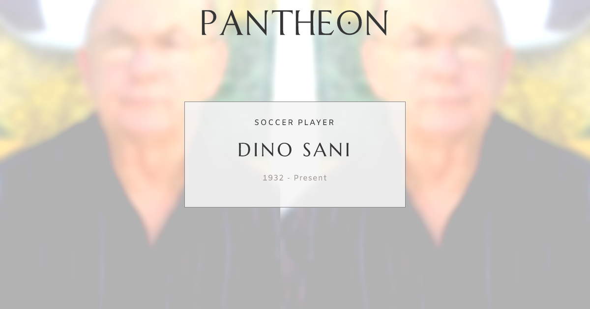 Dino Sani Biography | Pantheon